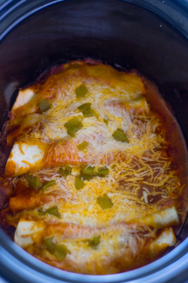 Slow Cooker Chicken Enchiladas | Gimme Delicious
