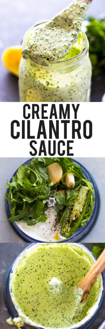 Creamy Cilantro Sauce and Dressing | Gimme Delicious